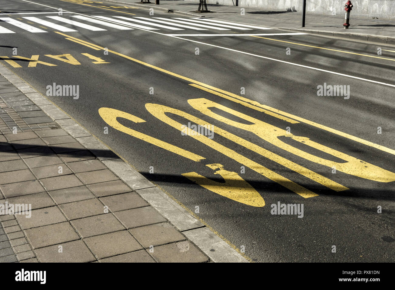 Yellow bus and taxi marking on the street, Serbia-Montenegro, Belgrade ...