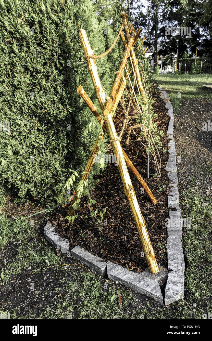 Wood construction for climbing plants Stock Photo - Alamy