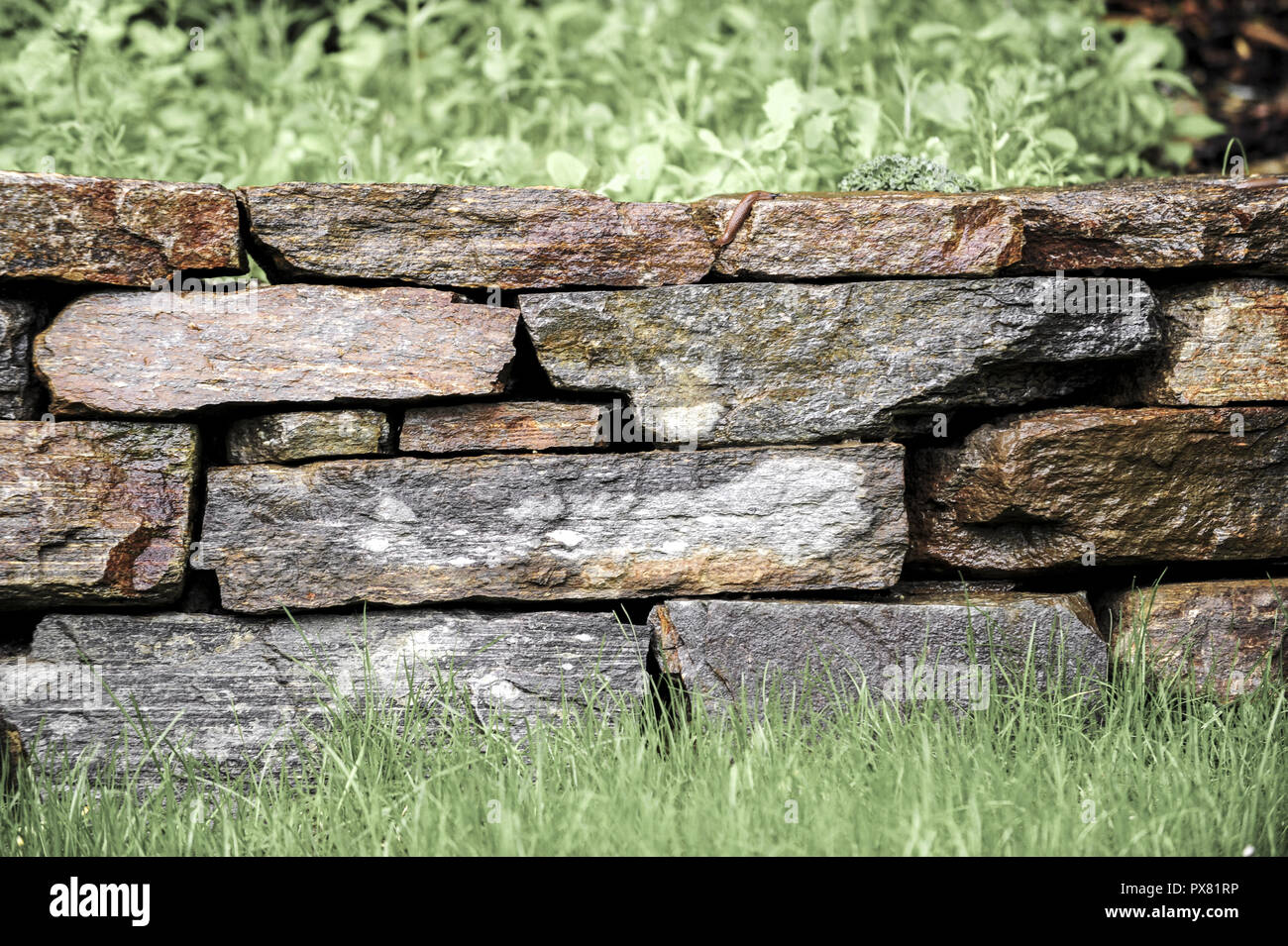 Nature garden with stone wall Stock Photo - Alamy
