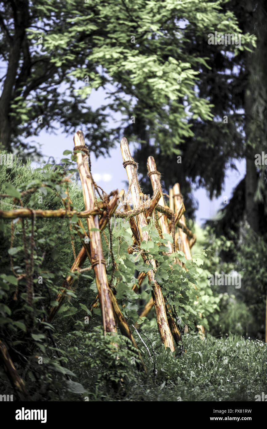 Wood construction for climbing plants Stock Photo - Alamy