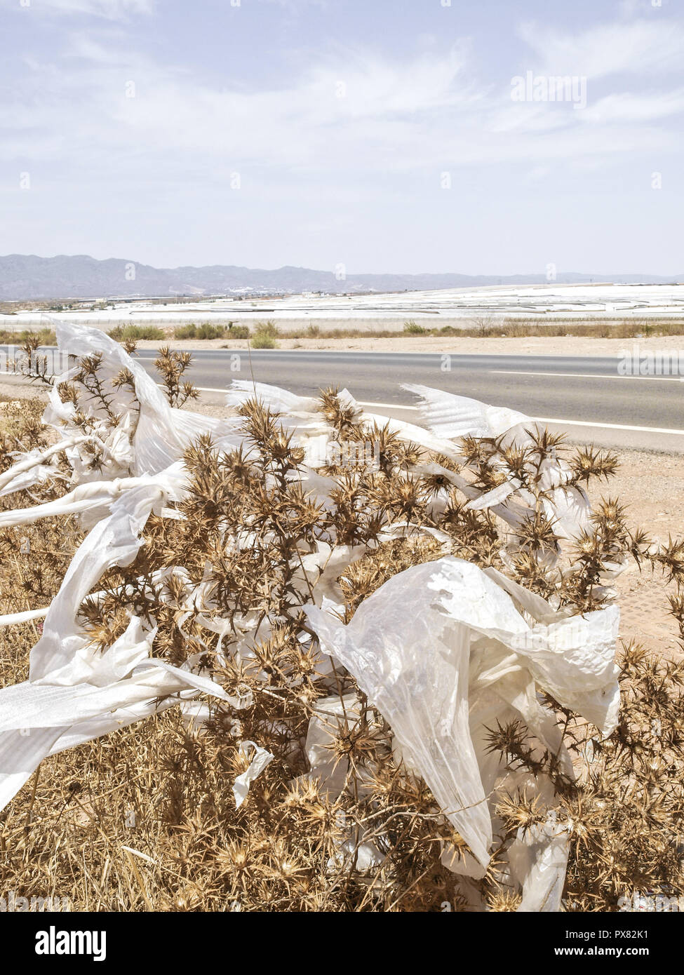 Spain, Andalusia, Almeria, Mar del Plastico, greenhouse agriculture ...