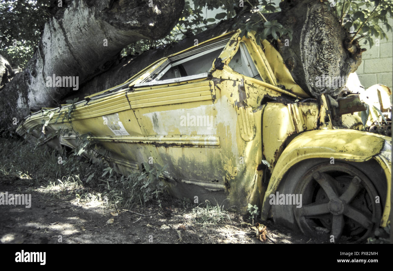 Dominica caribbean bus hi-res stock photography and images - Alamy