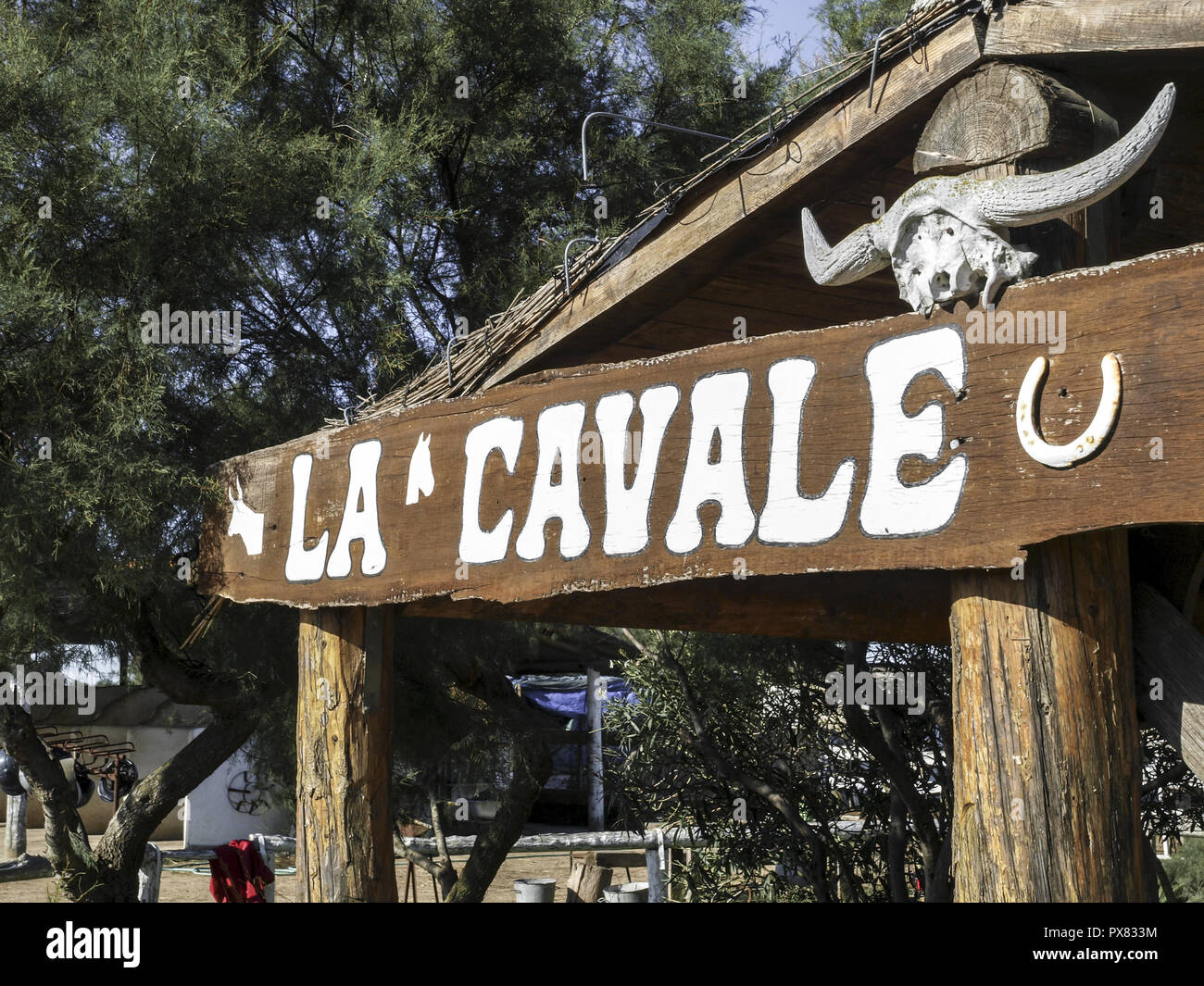 Horse, La Cavale, France, Camargue Stock Photo - Alamy