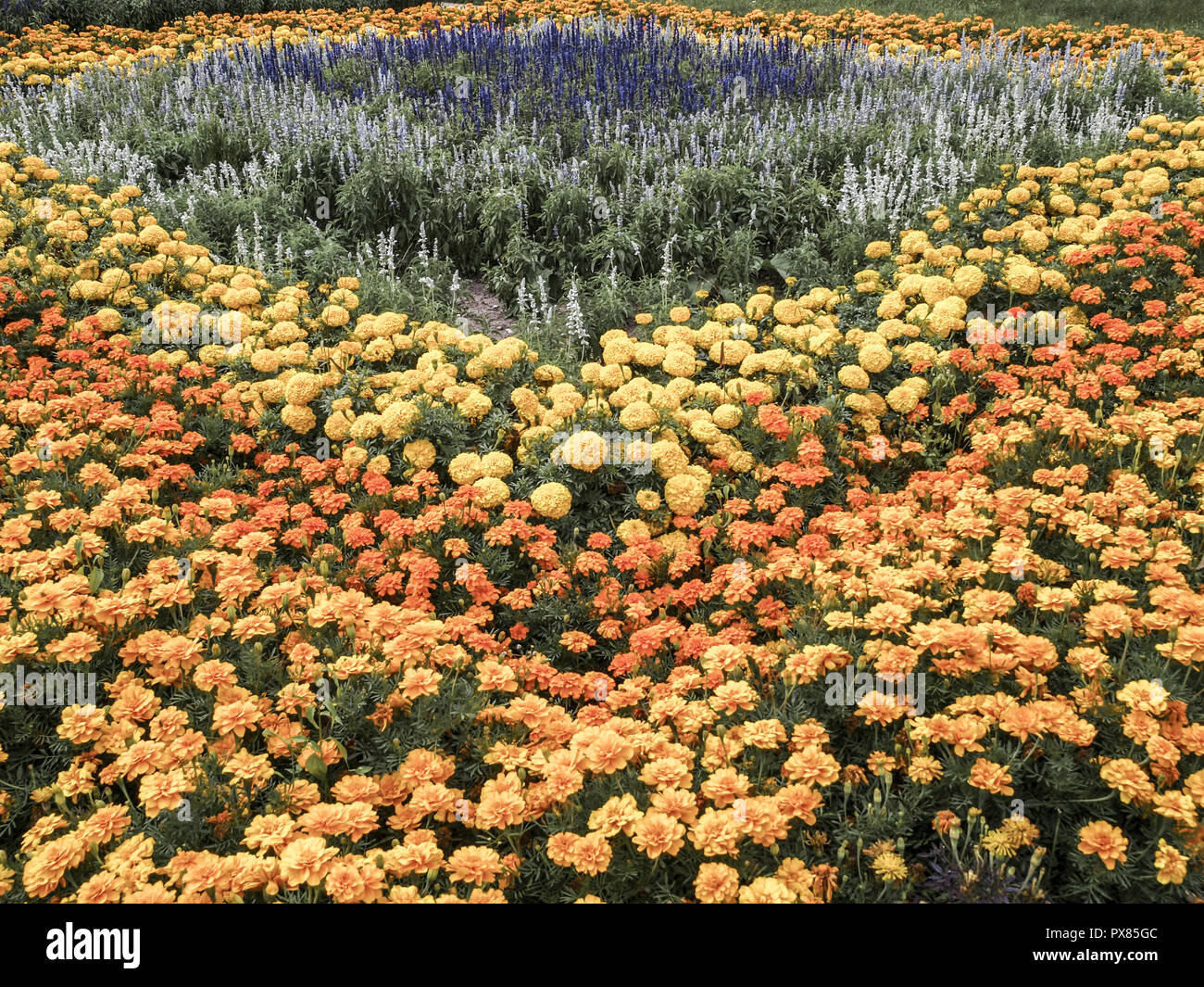 Landscape garden, World Heritage Site, Lednice, Czech Republic ...