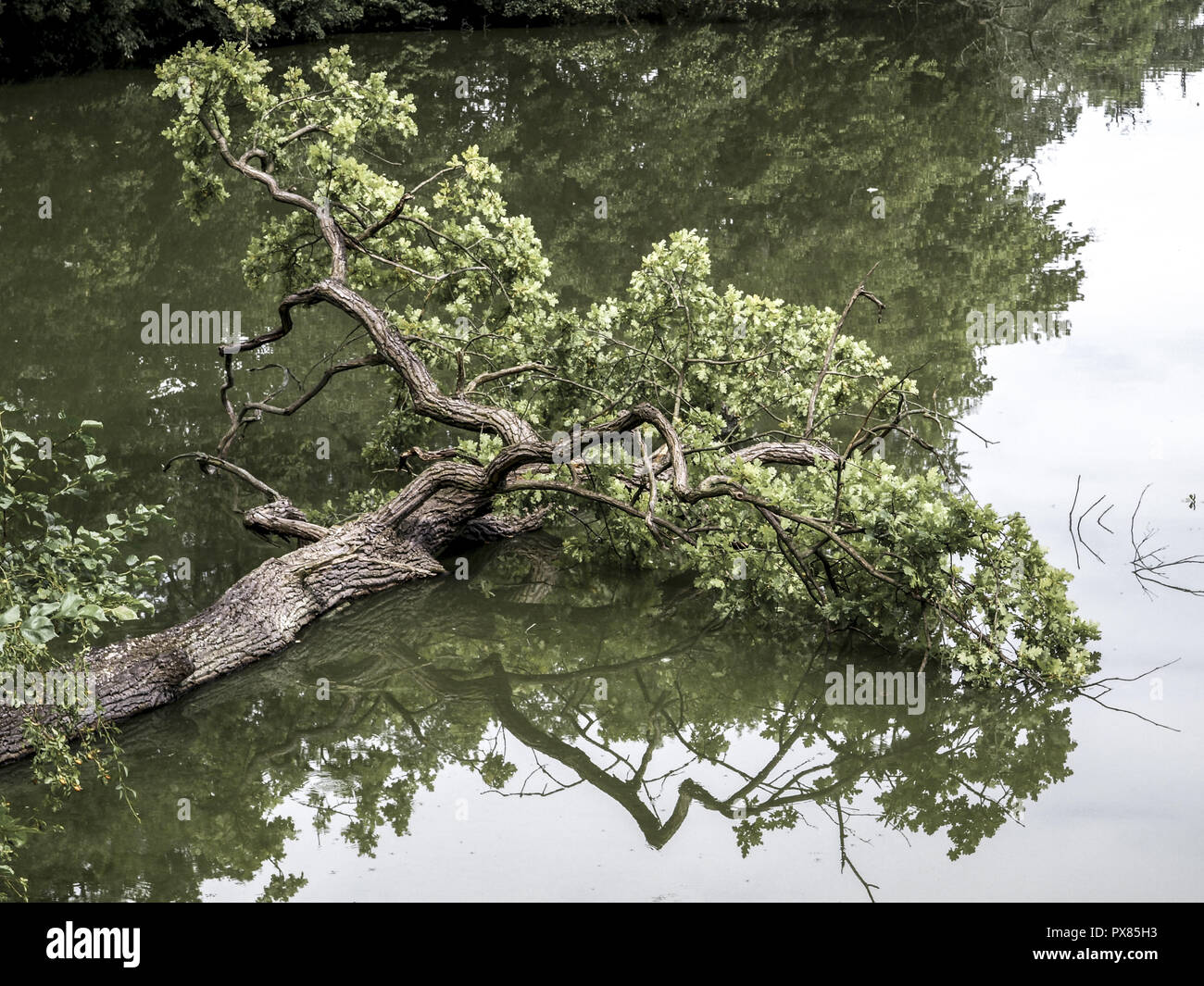 Landscape garden, World Heritage Site, Lednice, Czech Republic ...