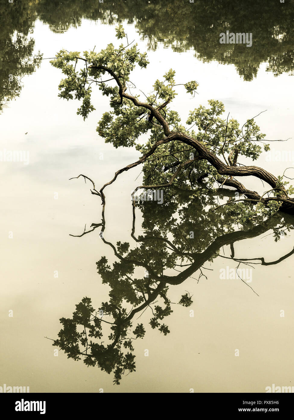 Landscape garden, World Heritage Site, Lednice, Czech Republic ...