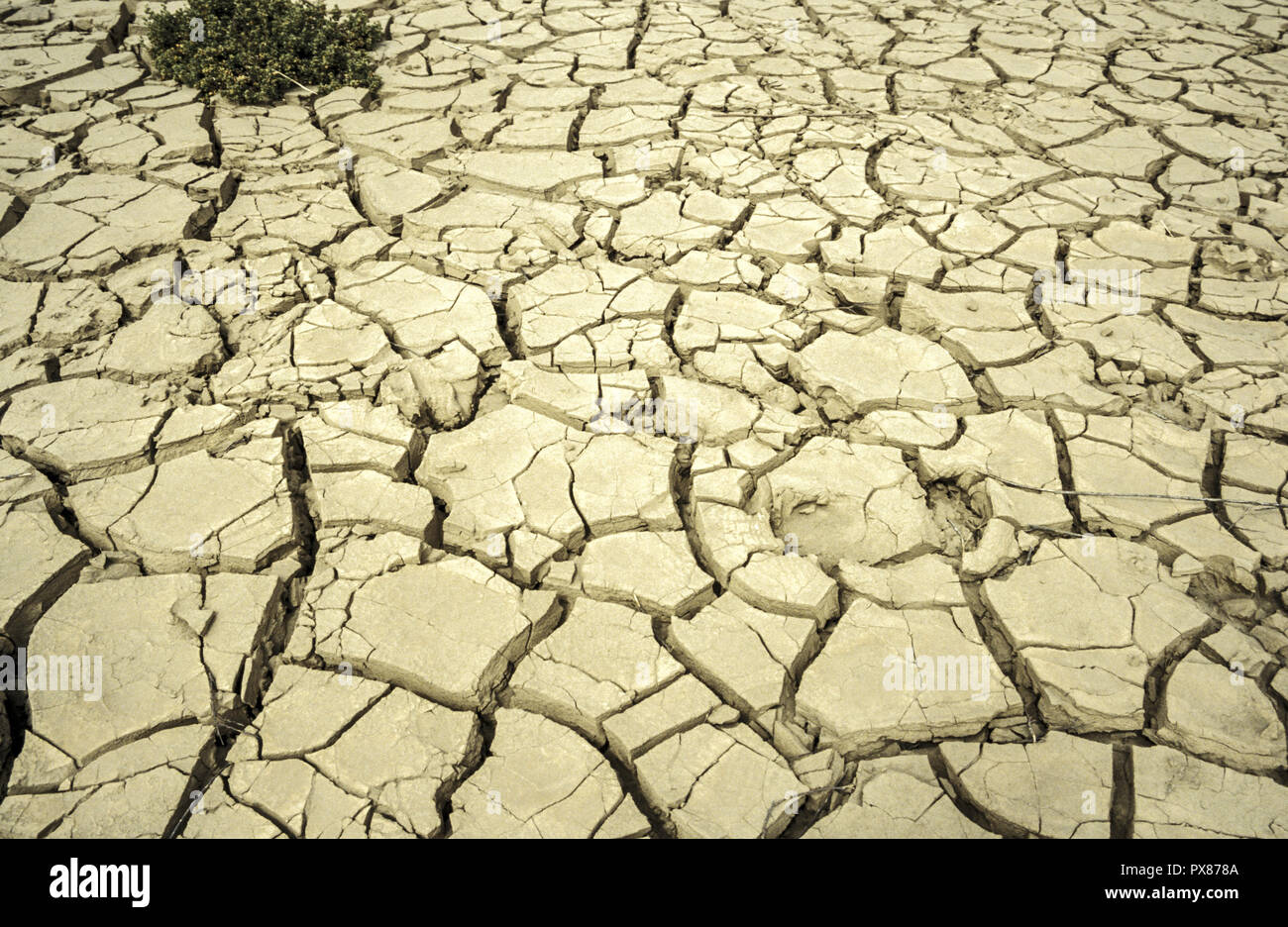 Soil structure, Namibia, Namib desert, Namib near Swakopmund Stock ...