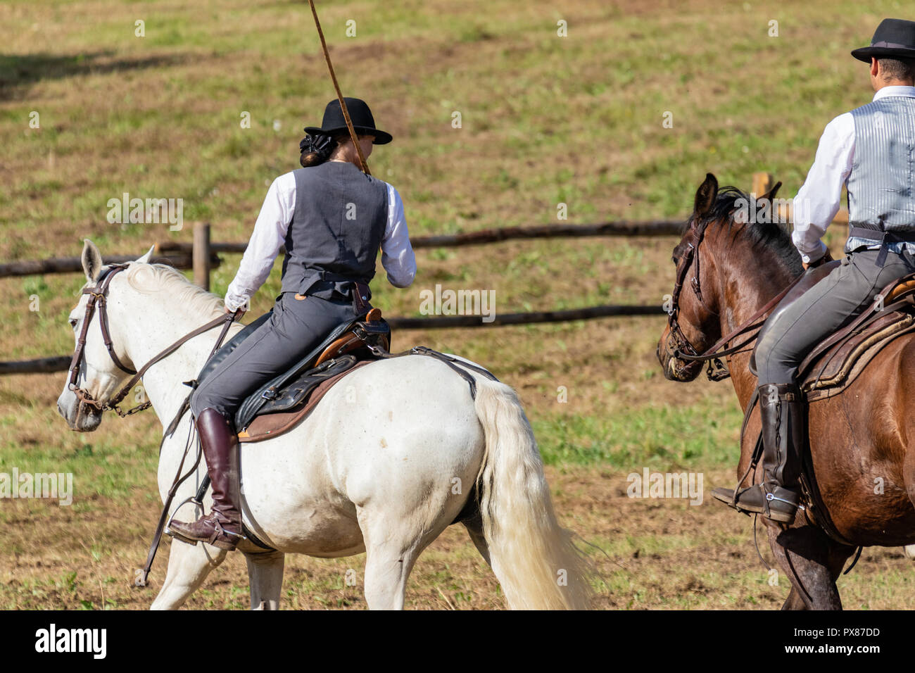 Woman Hunting Horse Stock Photos & Woman Hunting Horse Stock Images - Alamy