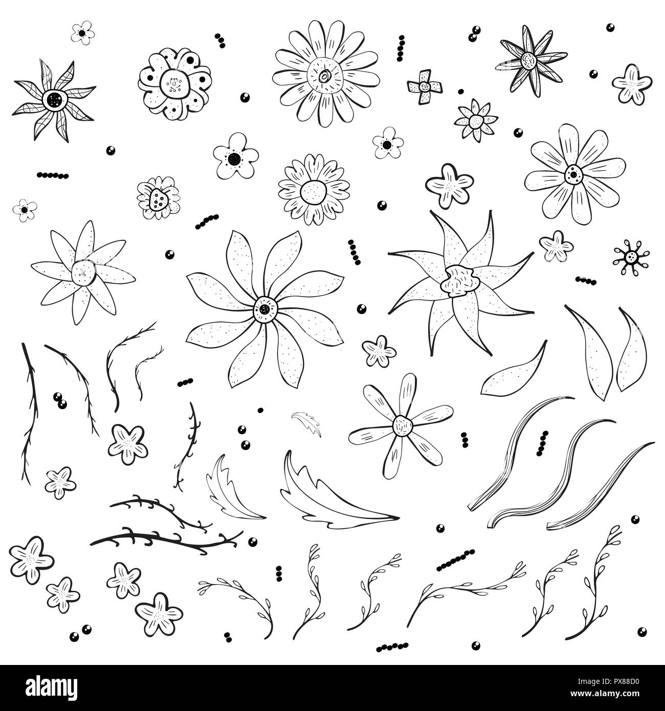 Wild flowers and leaves collection. Hand drawn style. Vector ...