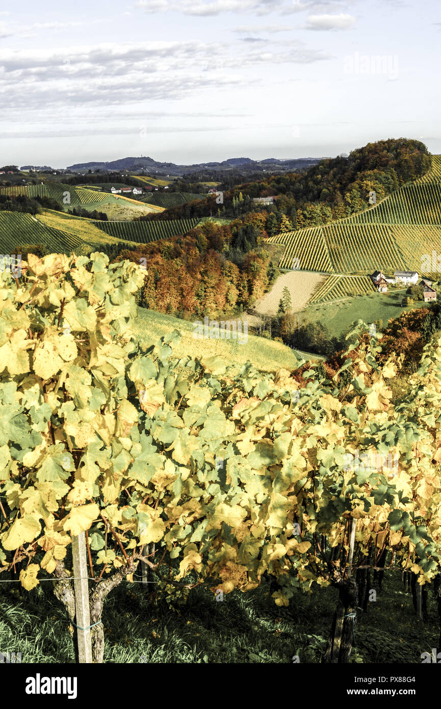 Suedsteirische Weinstrasse, Southern Styria wine route in autumn ...
