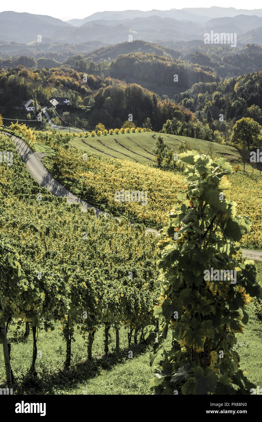 Suedsteirische Weinstrasse, Southern Styria wine route in autumn ...