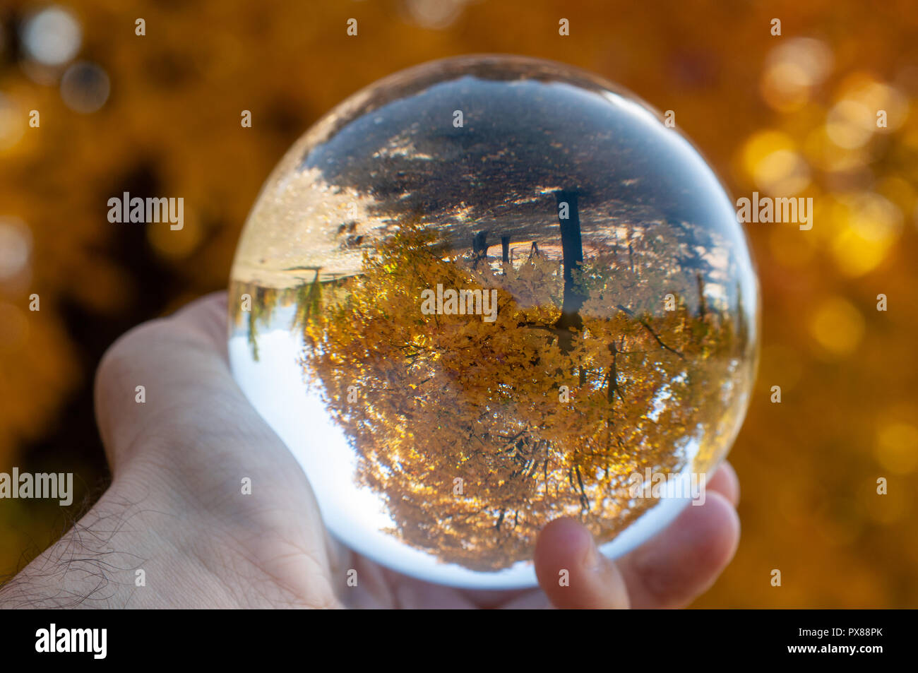 Crystal ball in the park Stock Photo - Alamy