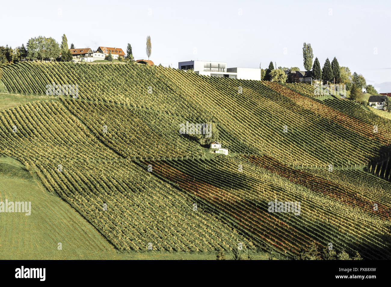 Suedsteirische Weinstrasse, Southern Styria wine route in autumn ...