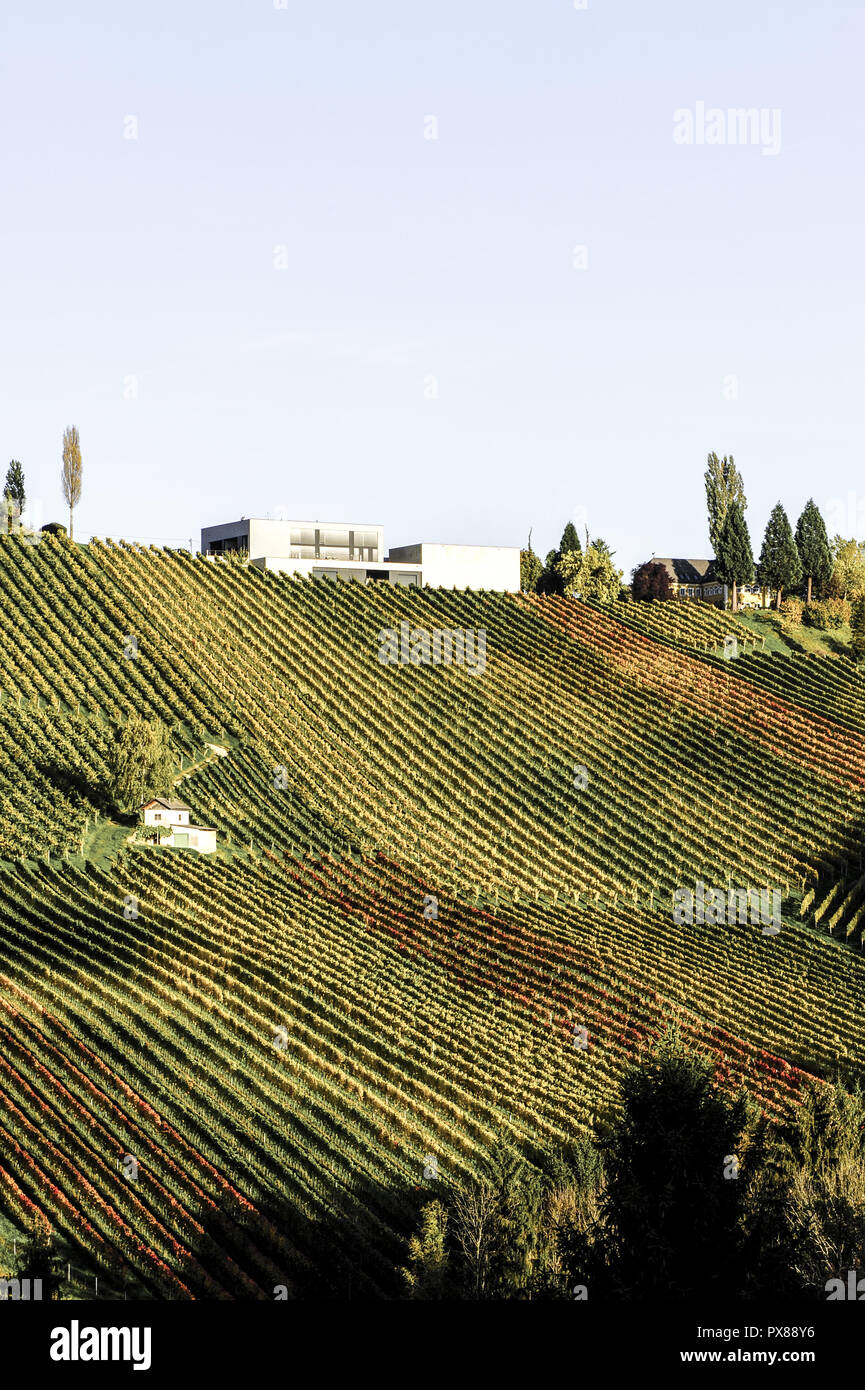 Suedsteirische Weinstrasse, Southern Styria wine route in autumn ...