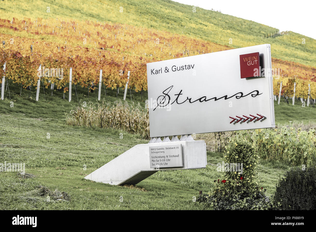 Suedsteirische Weinstrasse, Southern Styria wine route in autumn ...