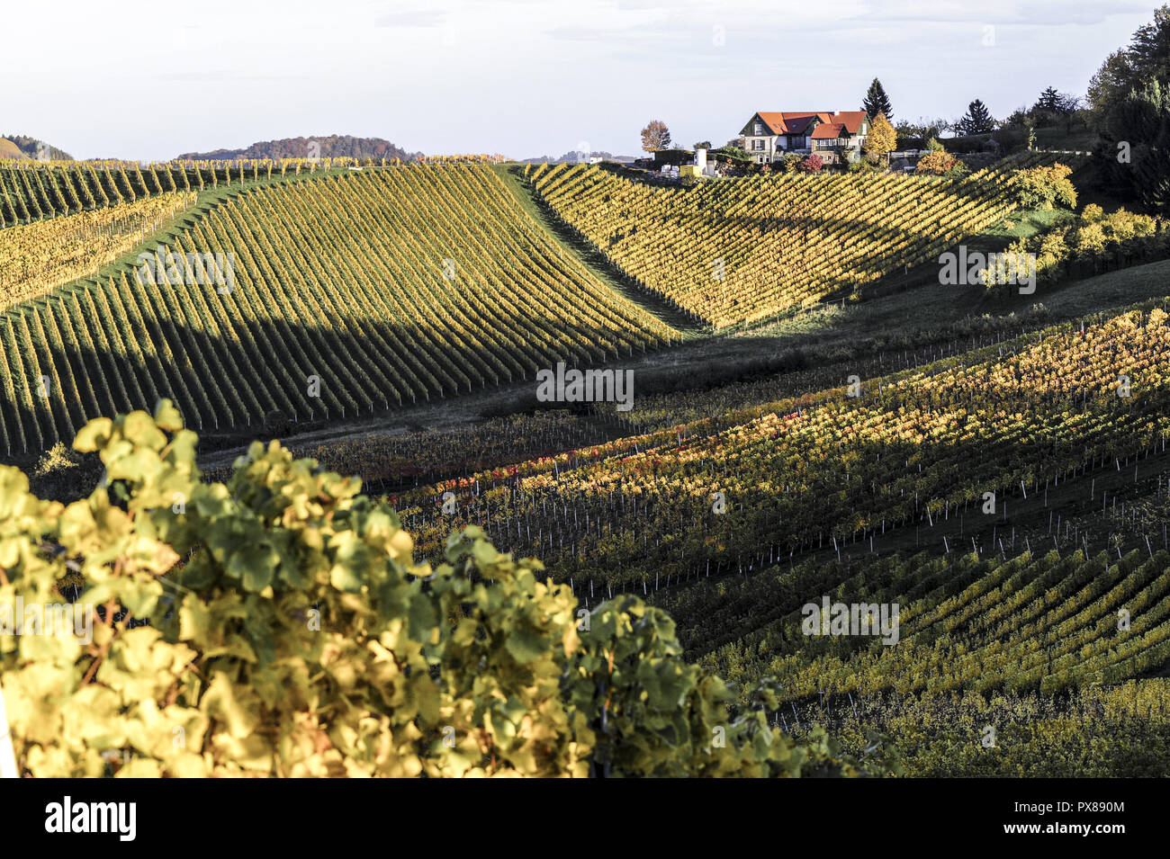 Suedsteirische Weinstrasse, Southern Styria wine route in autumn ...
