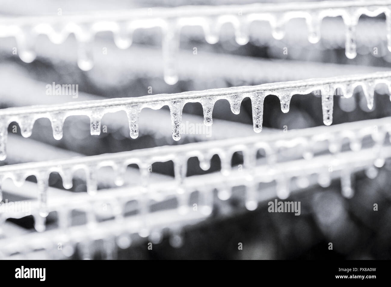 Freezing rain, ice cover, Austria, Lower Austria, Southern Lower ...