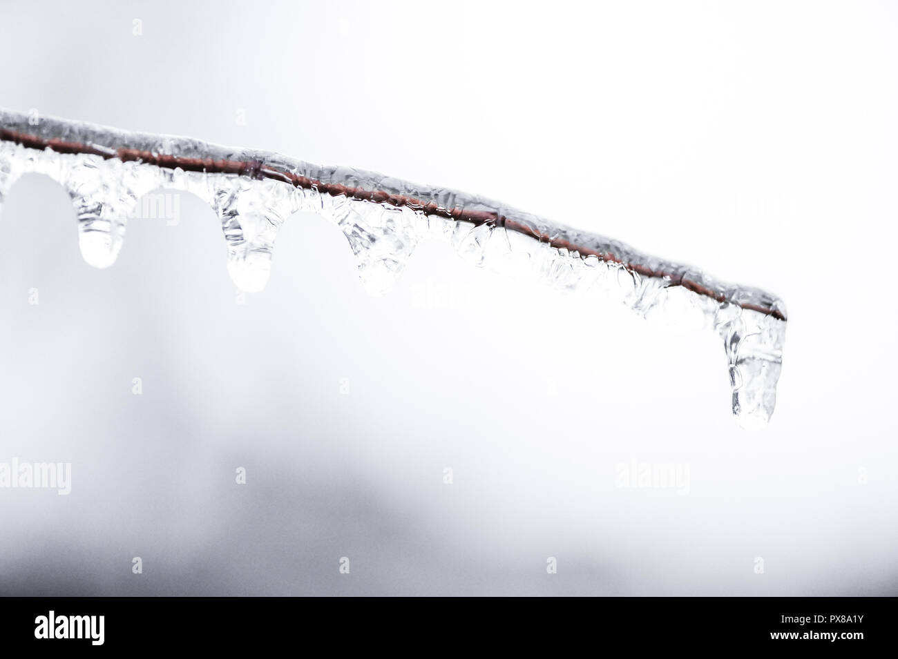 Freezing rain, ice cover, Austria, Lower Austria, Southern Lower ...
