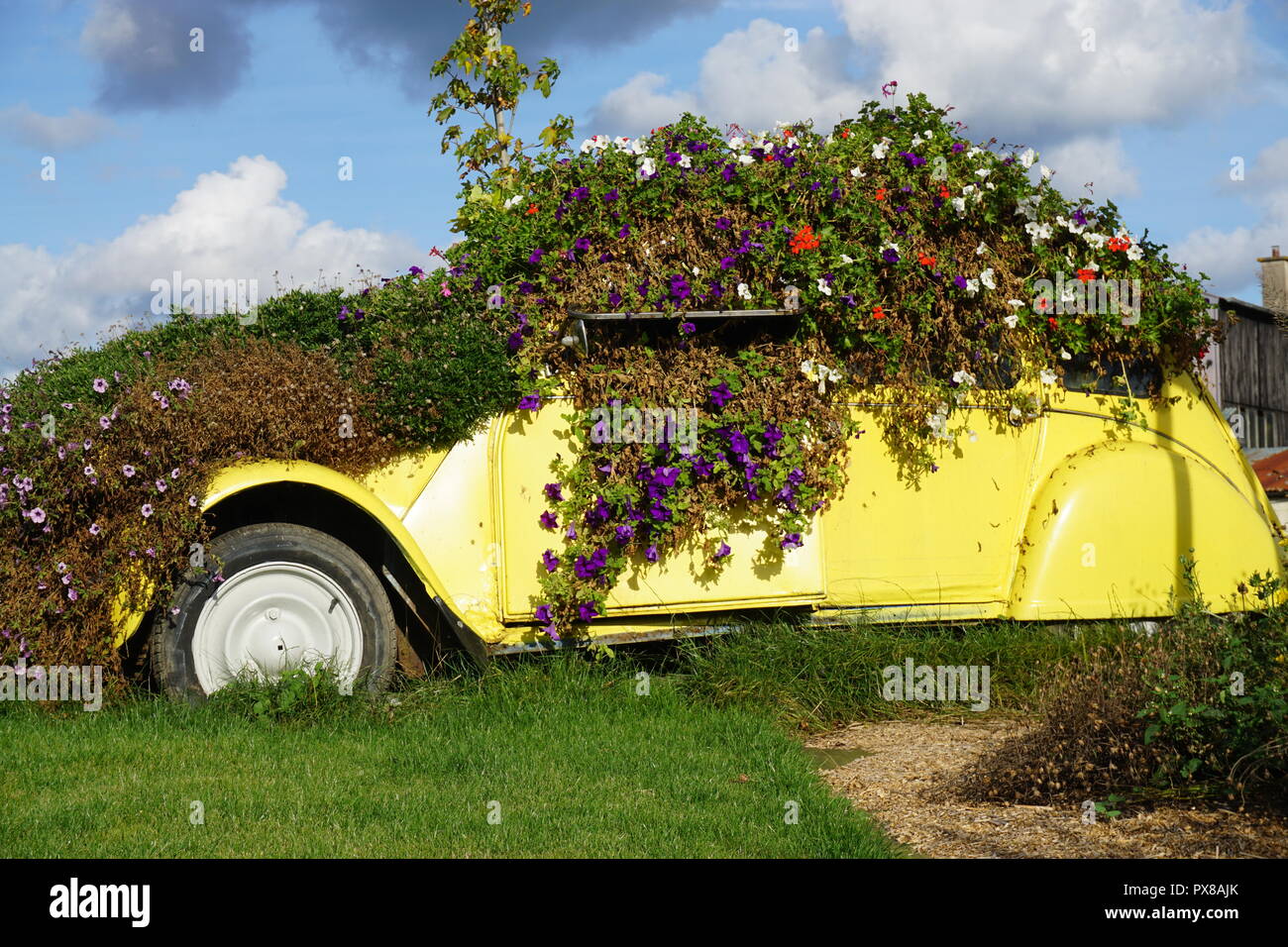 Old yellow 2CV used as a flower bed on a roundabout in a small town in ...