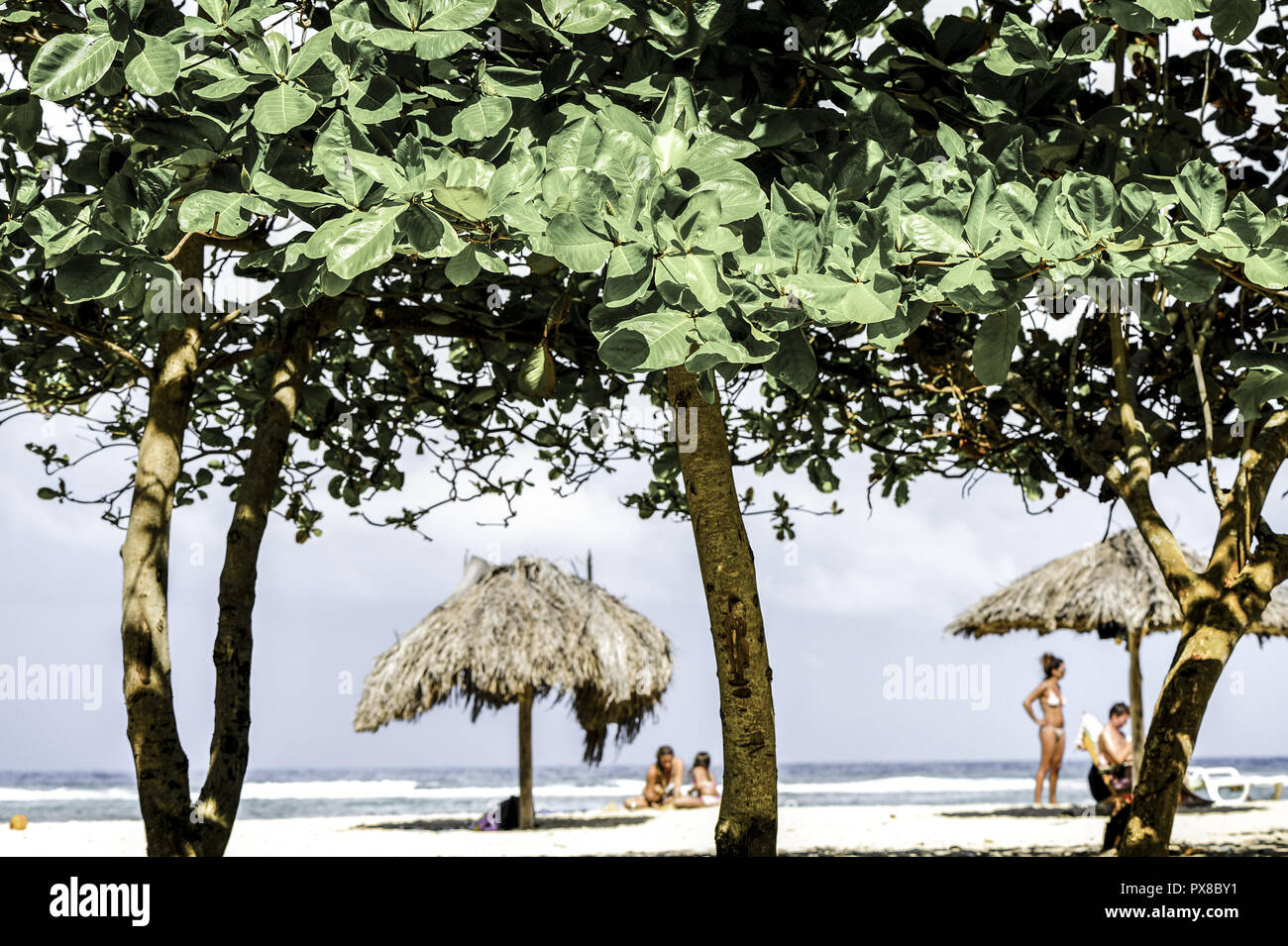 Cuba, Guantanamo, Baracoa, Playa Maguana Stock Photo - Alamy