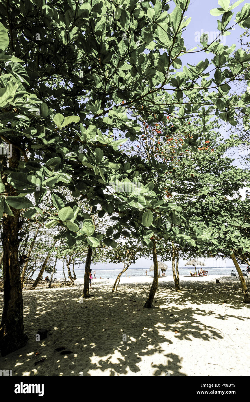 Baracoa cuba maguana hi-res stock photography and images - Alamy