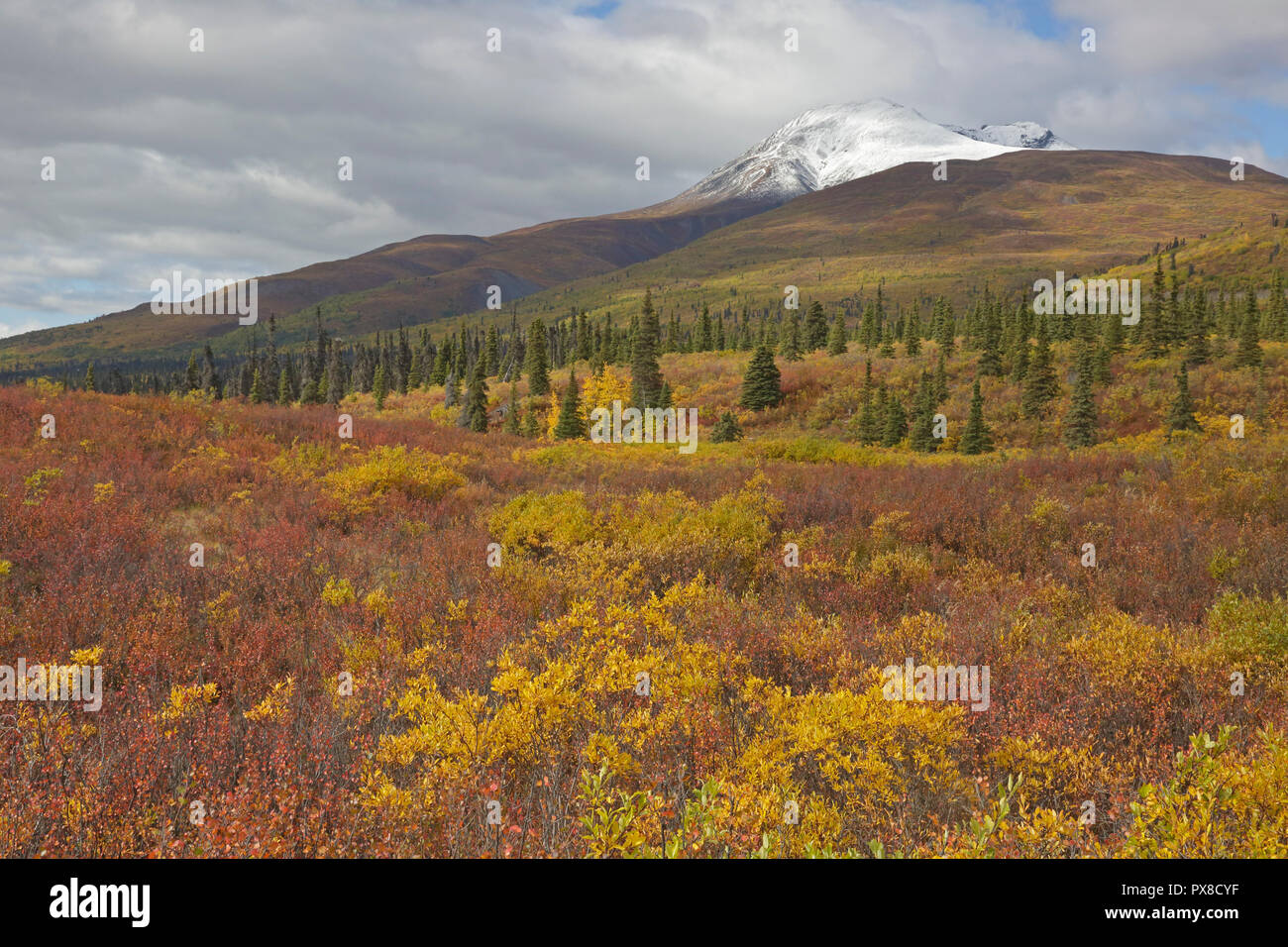 View of snow covered Gunsight Mountain in the fall from the Glenn ...