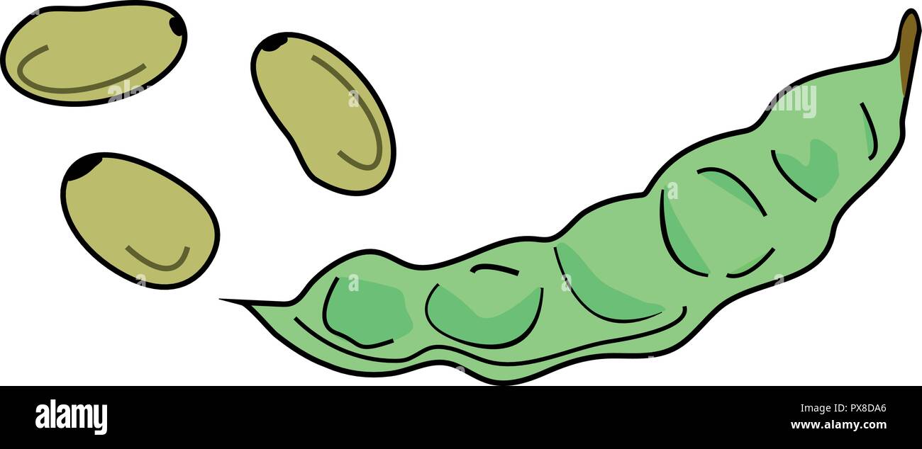 Vector of soybeans and soy seeds. Colorful cartoon with different ...