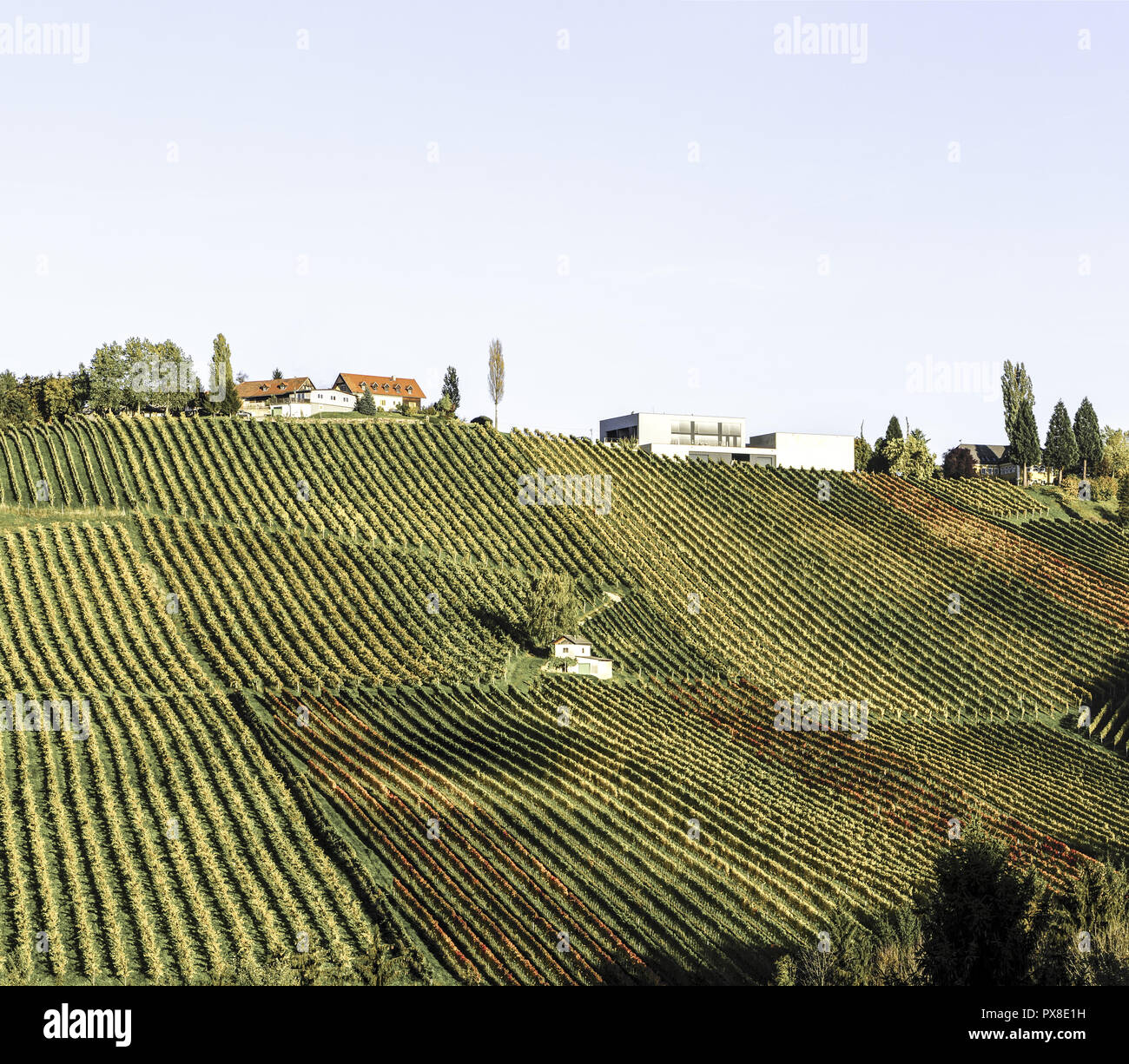 Suedsteirische Weinstrasse, Southern Styria wine route in autumn ...