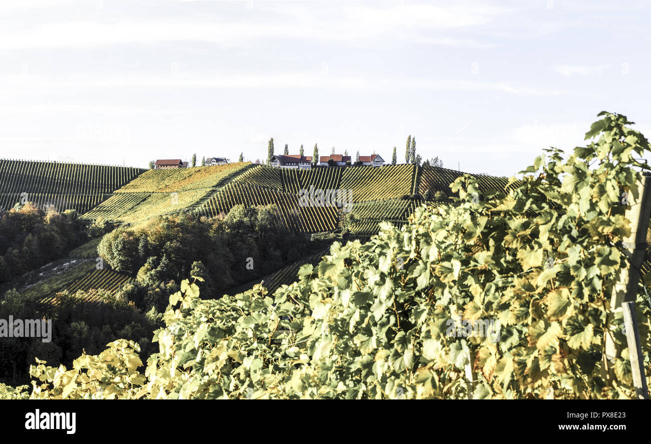 Suedsteirische Weinstrasse, Southern Styria wine route in autumn ...