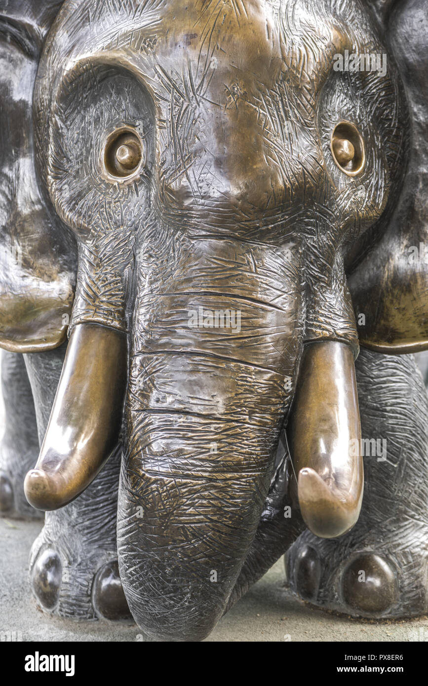 Vienna zoo elephants hi-res stock photography and images - Alamy