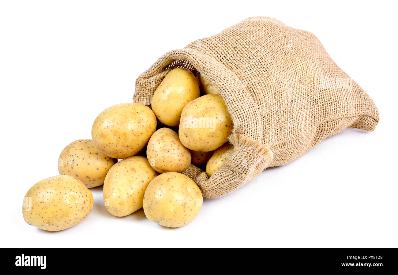 Fresh raw potatoes in a burlap sack. Earthy potato scene with Sackcloth ...