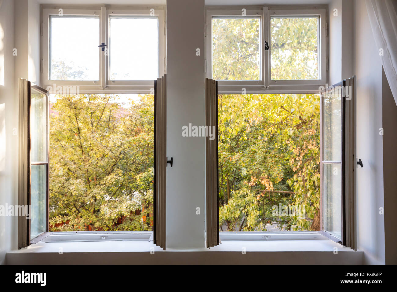 Fall, autumn season. Trees with yellow leaves out of two open white ...