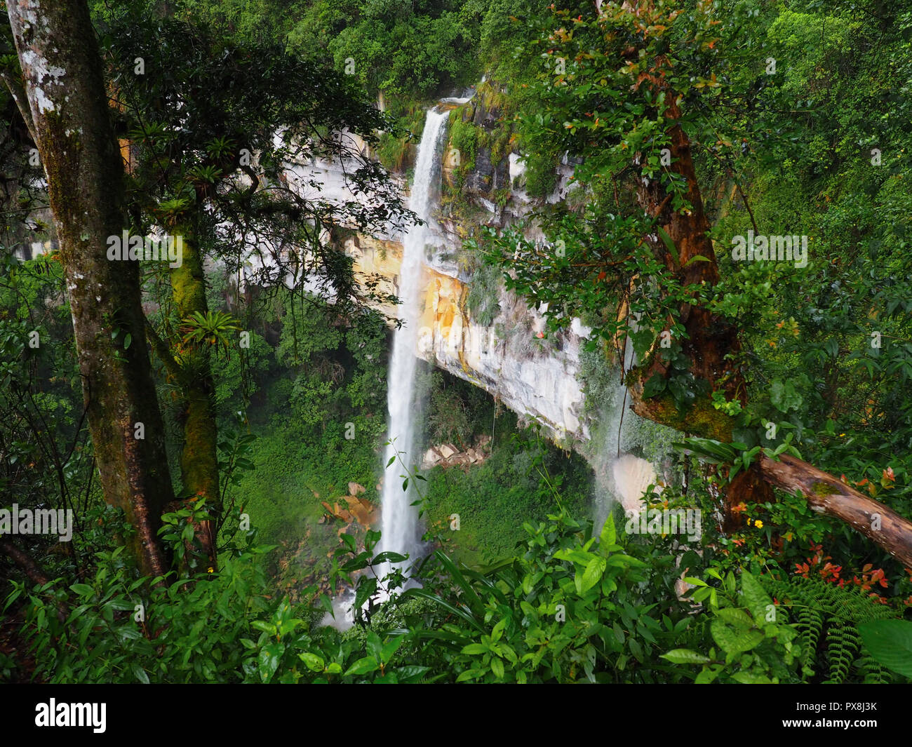 Yumbilla waterfall, Chachapoyas, Peru Stock Photo - Alamy