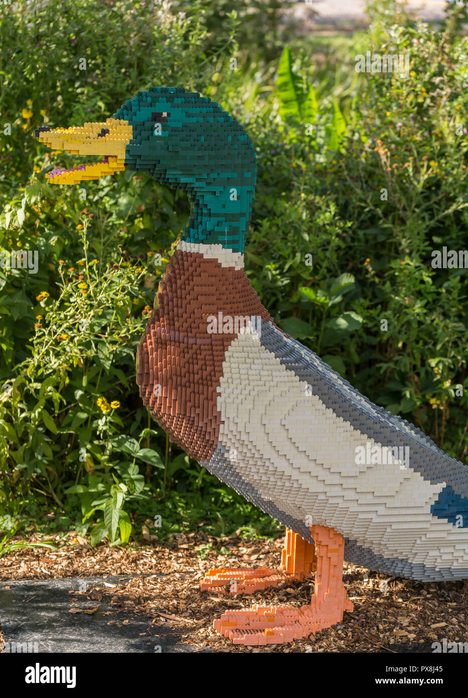 Lego model of a Mallard at Slimbridge Stock Photo - Alamy