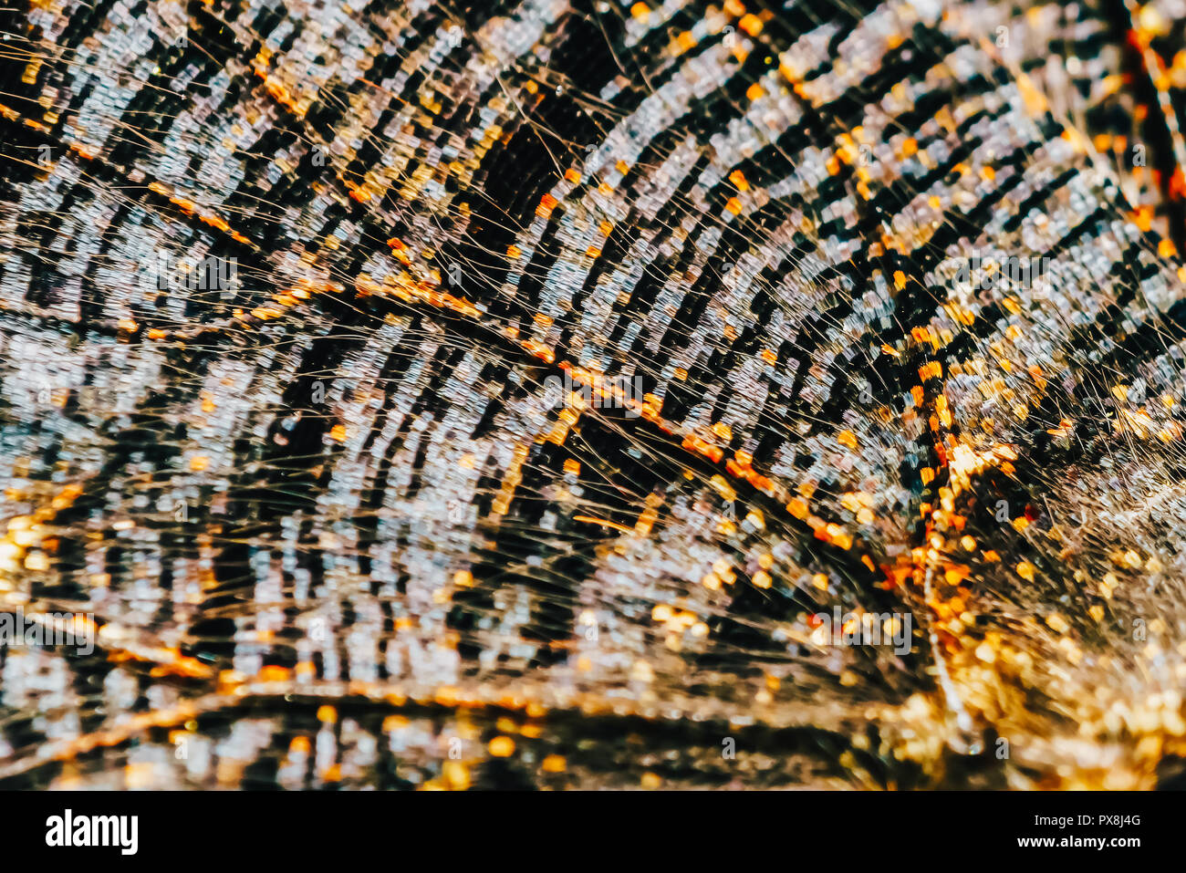 Monarch Butterfly Wings Abstract Pattern Close Up Stock Photo - Alamy