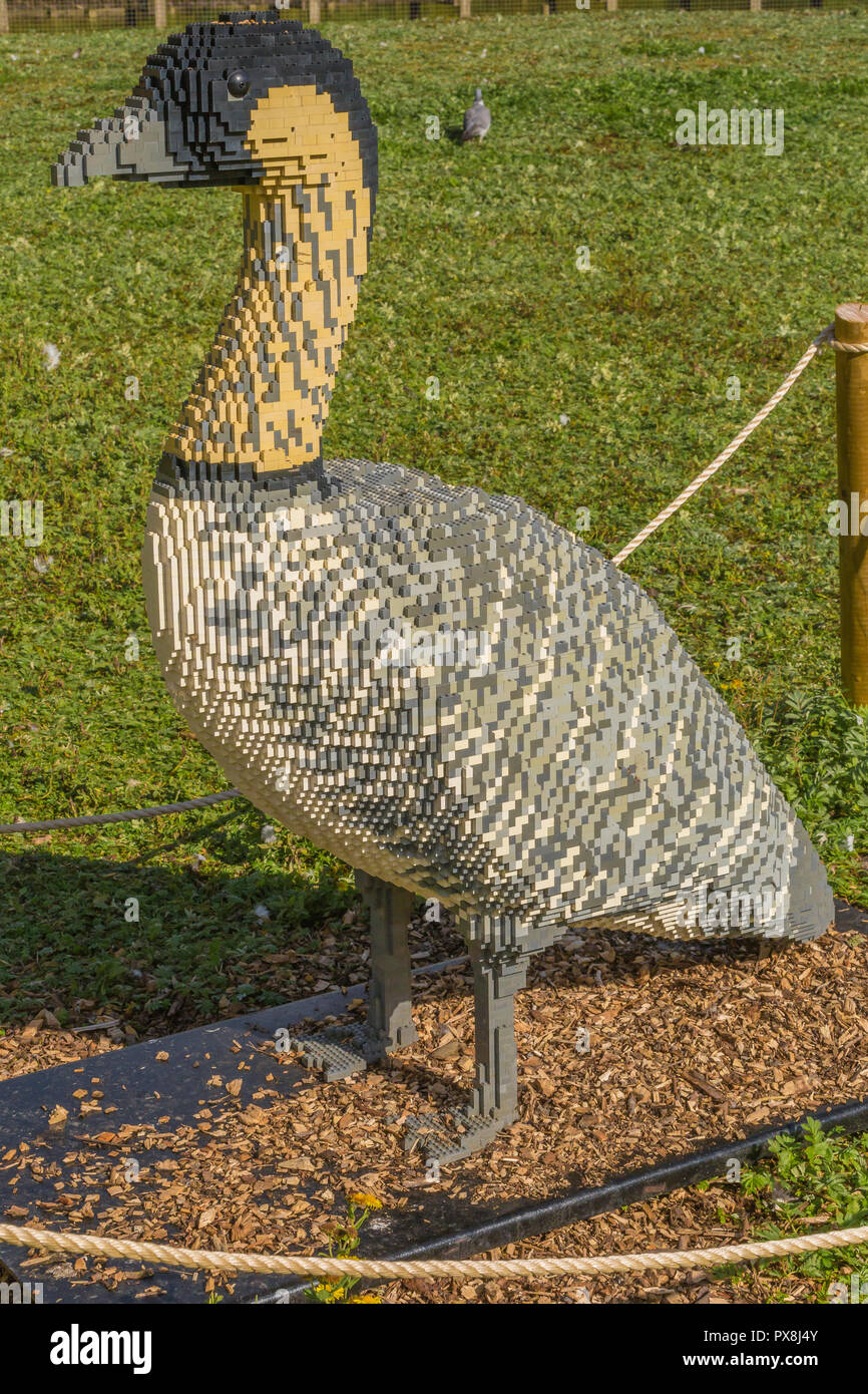 Lego model of a Hawaiian Goose at Slimbridge Stock Photo - Alamy