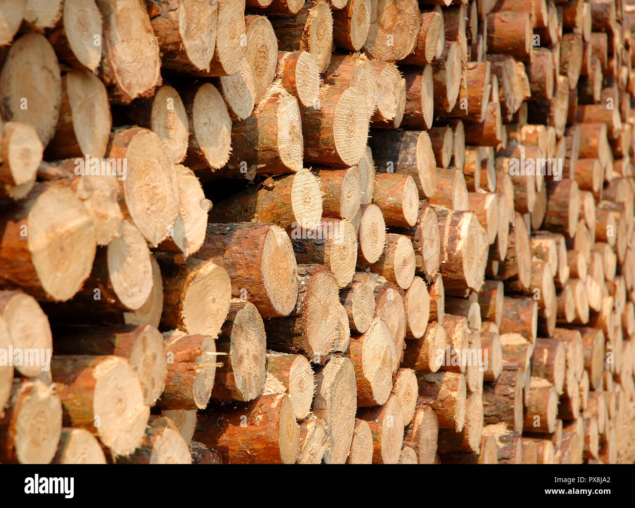 Round logs stacked stack wood hi-res stock photography and images - Alamy