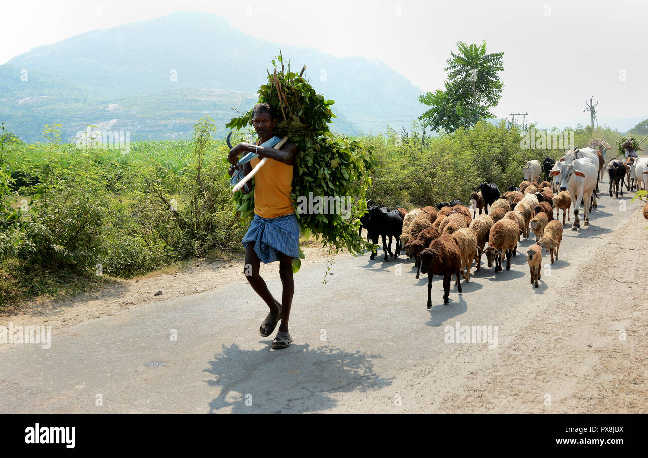 Dheki hi-res stock photography and images - Alamy