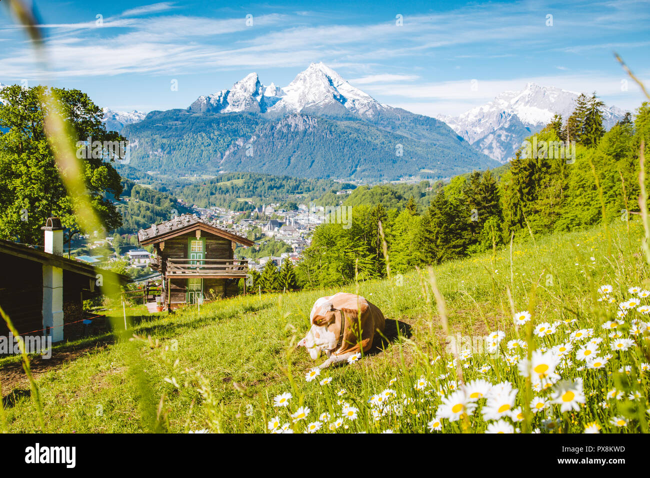 Alpine scenery hi-res stock photography and images - Alamy