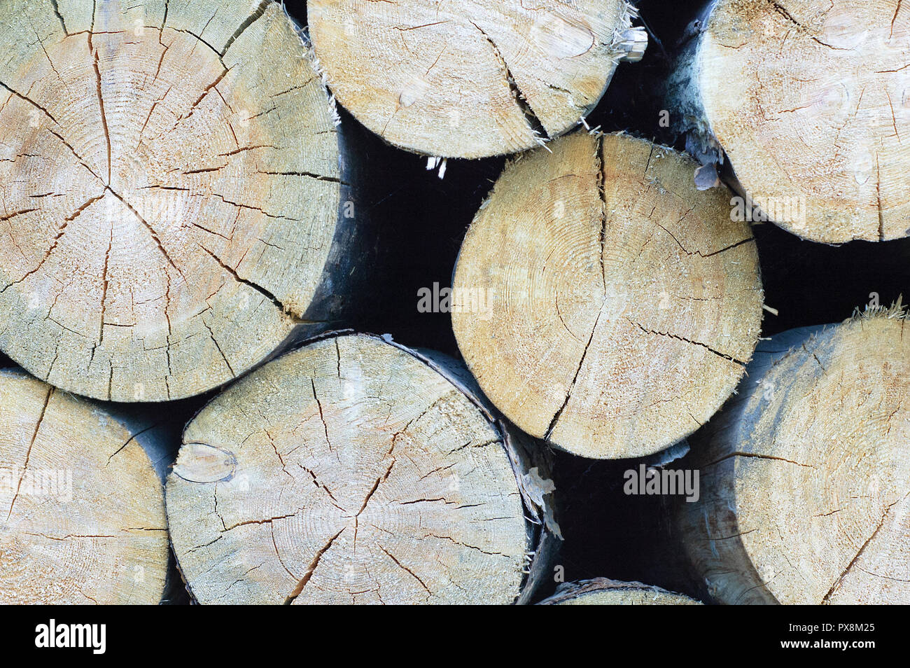 Stacked logs on top of each other hi-res stock photography and images ...