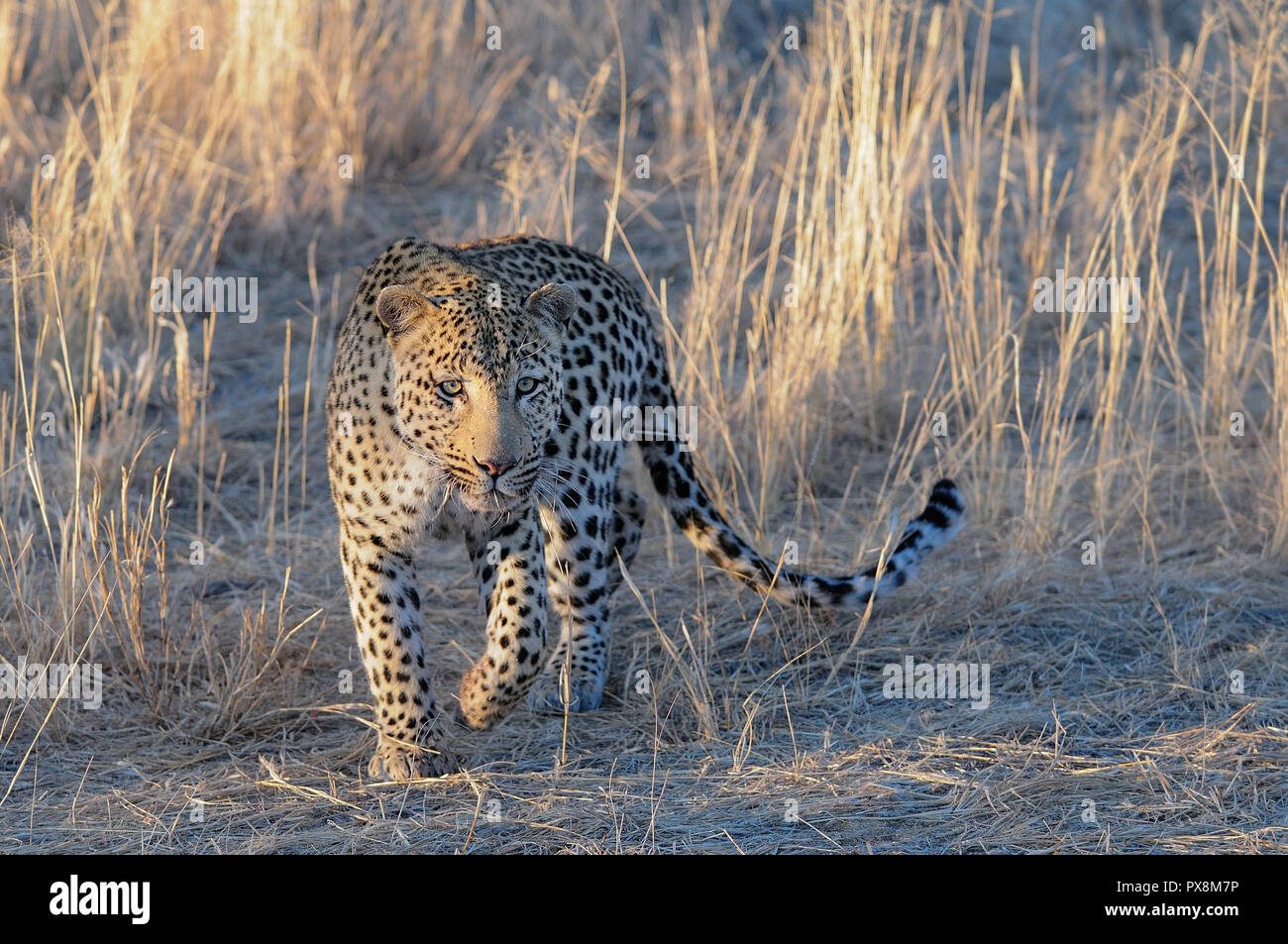 Catch points hi-res stock photography and images - Alamy