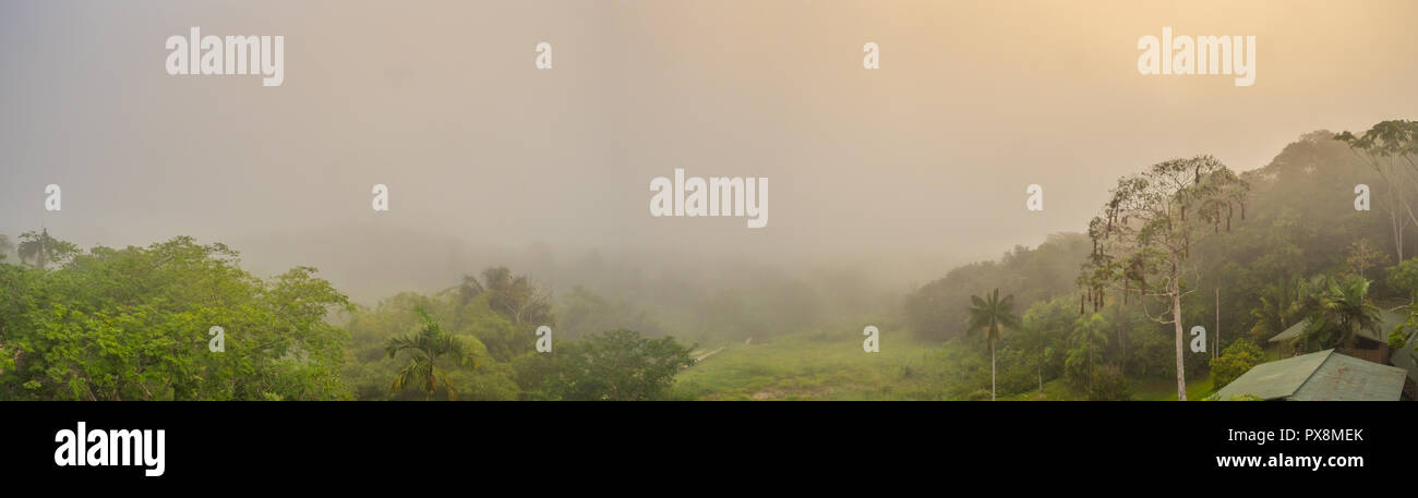 Foggu sunrise at the Javari River, the tributary of the Amazon River ...