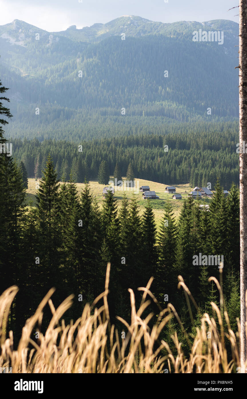 Beautiful forest village scenery hi-res stock photography and images ...