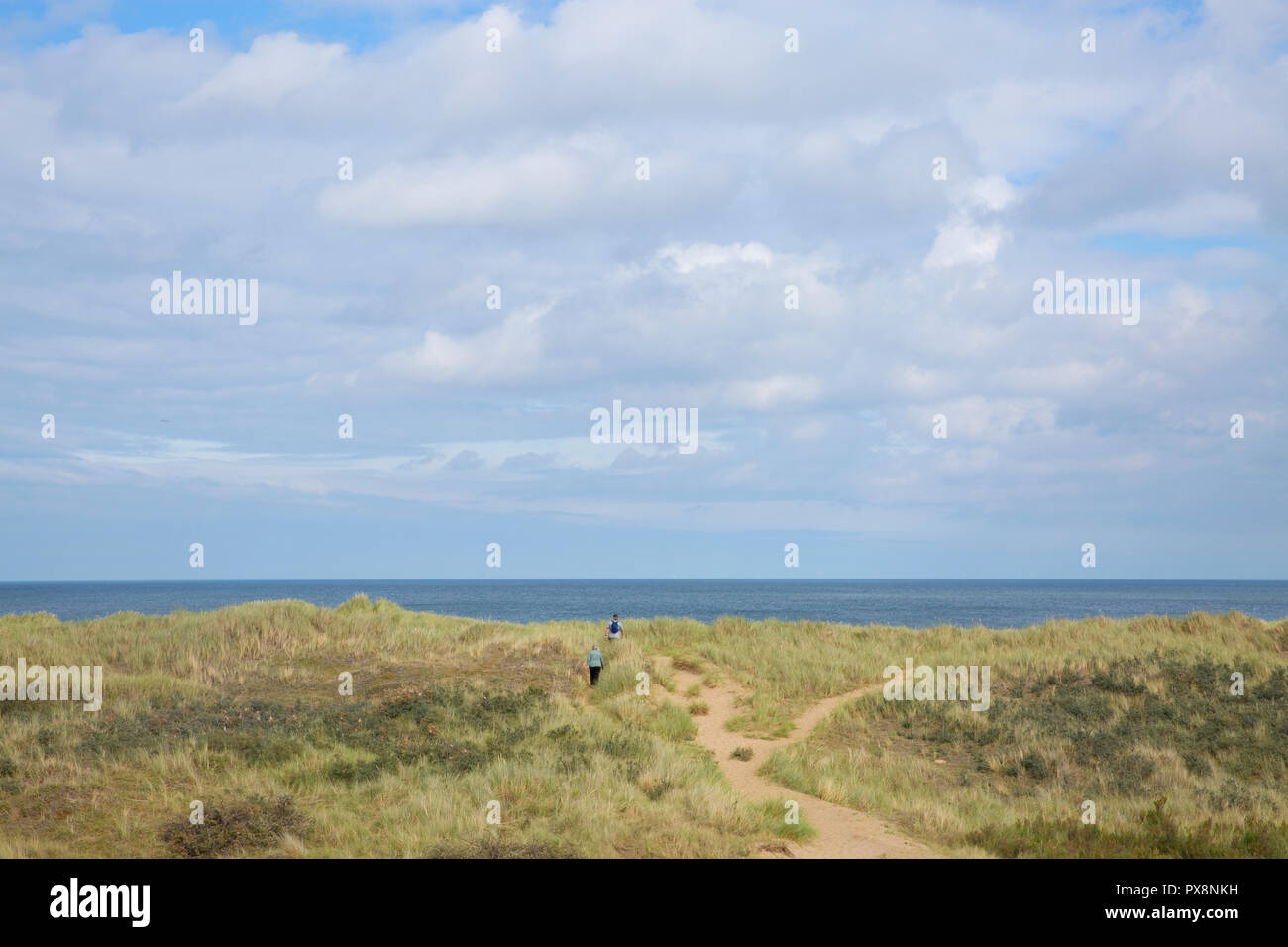 Walking in the sand dunes at Thornham, Norfolk, England Stock Photo - Alamy