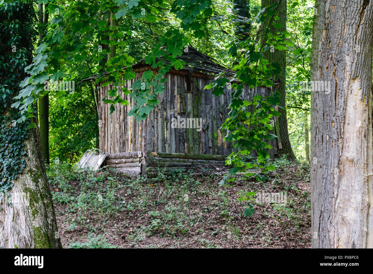 Wooden shack deep in the woods Stock Photo - Alamy