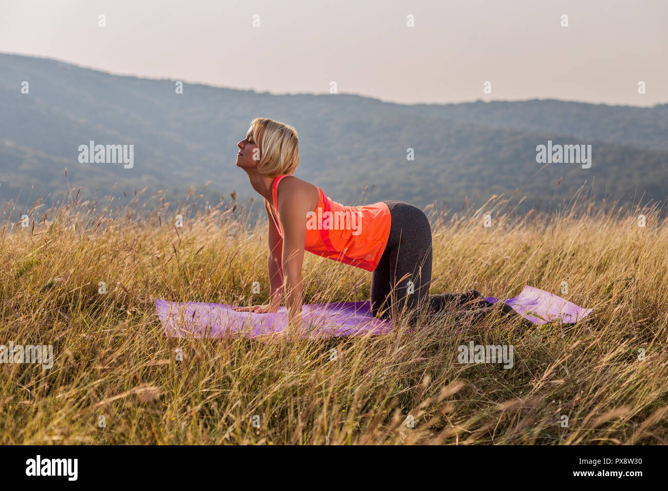 Beautiful woman doing yoga in the nature,Cow Pose/ Bitilasana Stock ...