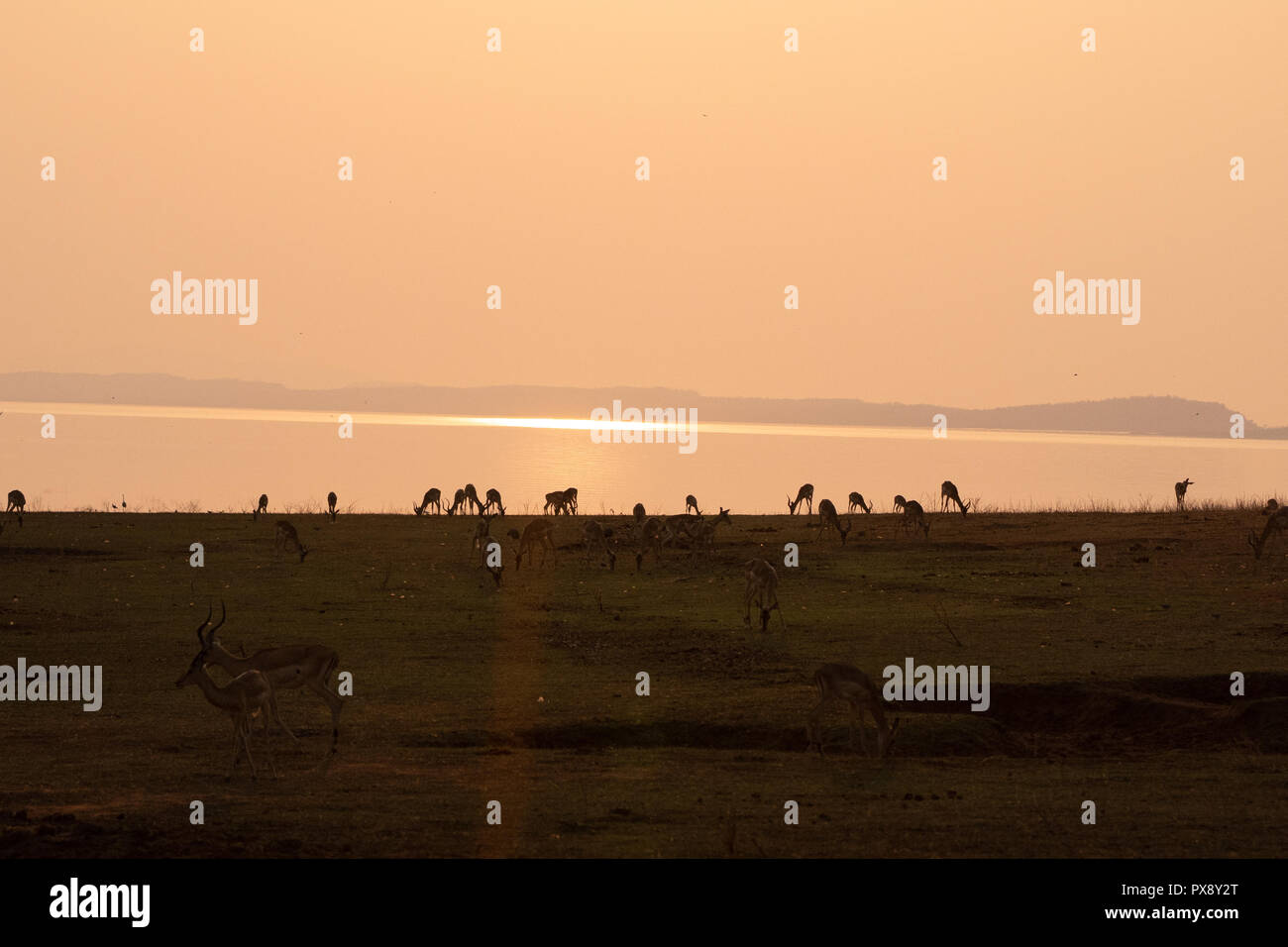 Sunset on Lake Kariba, Zimbabwe Stock Photo - Alamy