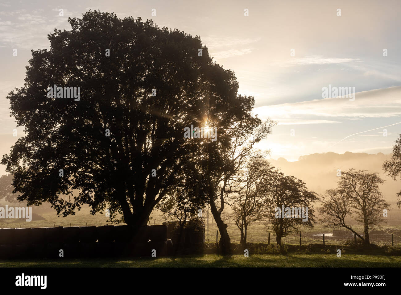 UK Weather: The sun breaks through the morning mist Stock Photo - Alamy