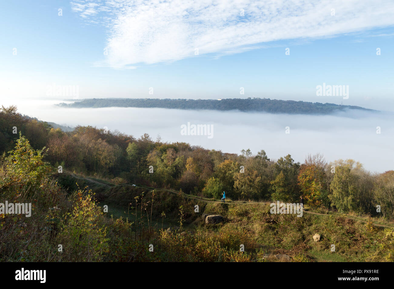 Fog trapping hi-res stock photography and images - Alamy