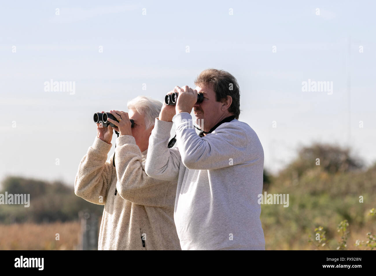 Birding identification hi-res stock photography and images - Alamy